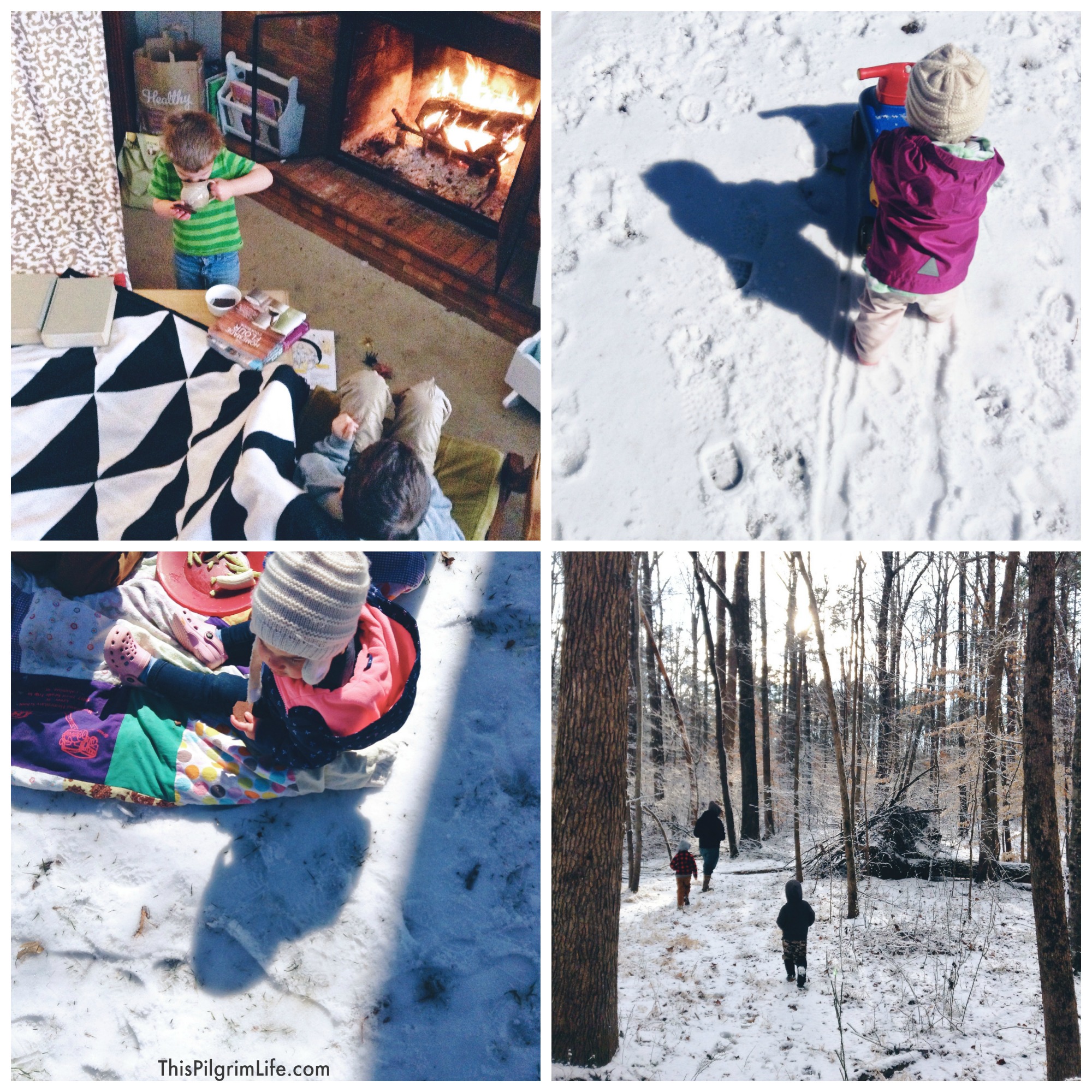 Bring On Spring! - This Pilgrim Life
