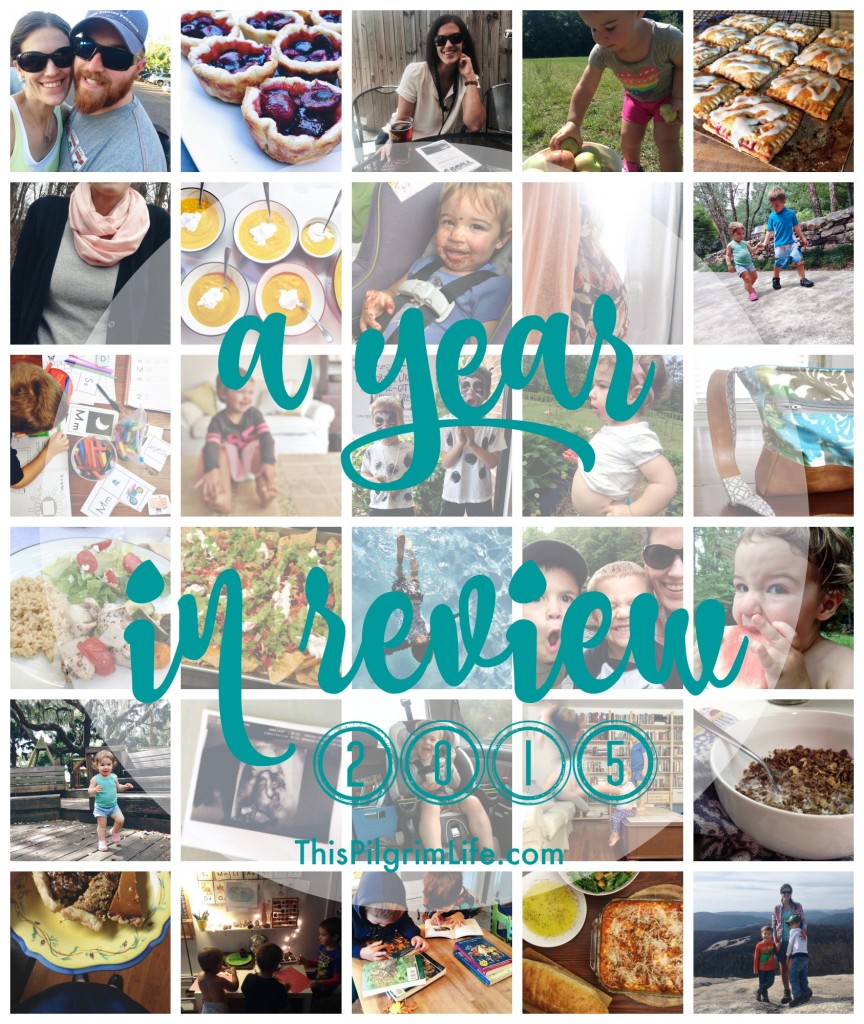 A Year in Review- 2015 - This Pilgrim Life
