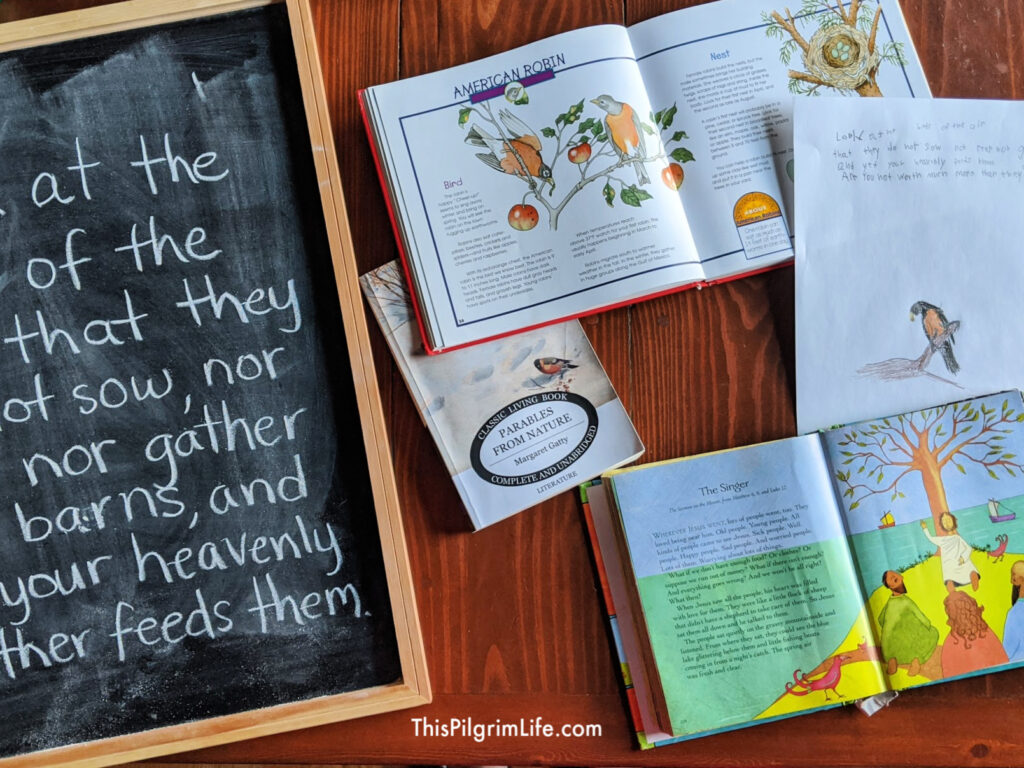 Look at the Birds & Flowers :: Children's Lesson on Trusting God - This ...