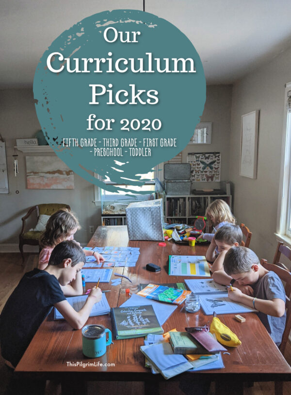 Our Curriculum Picks for 2020 - This Pilgrim Life