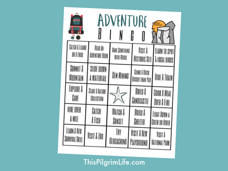 Summer Adventure Bingo - This Pilgrim Life